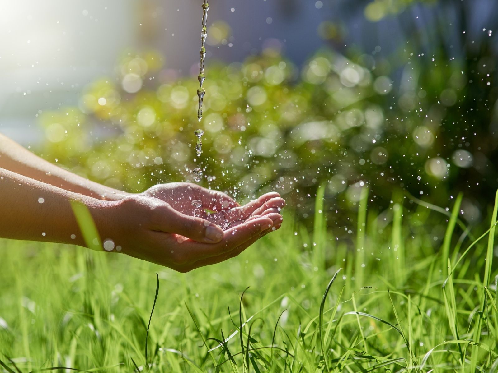 Doğal Kaynaklar İle İlgili Sloganlar - Sloganci.com